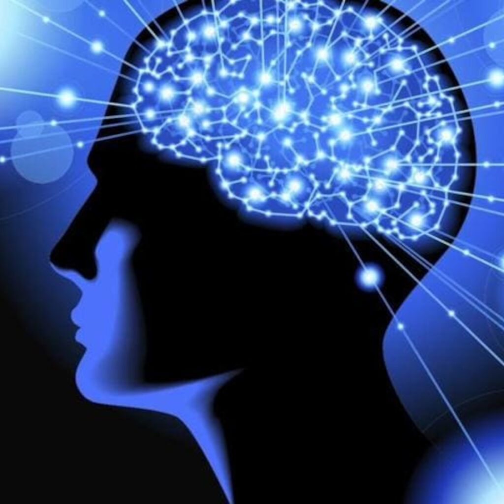 Sharp Brain – Fulmina Distri